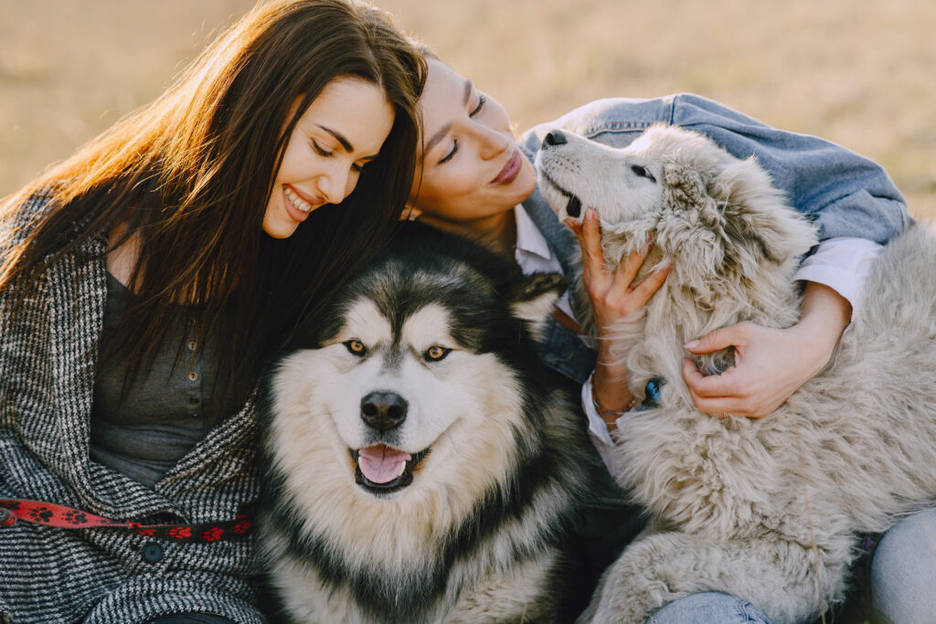 Introducing Your Dog To New Pets And Family Members: Expert Tips For A ...